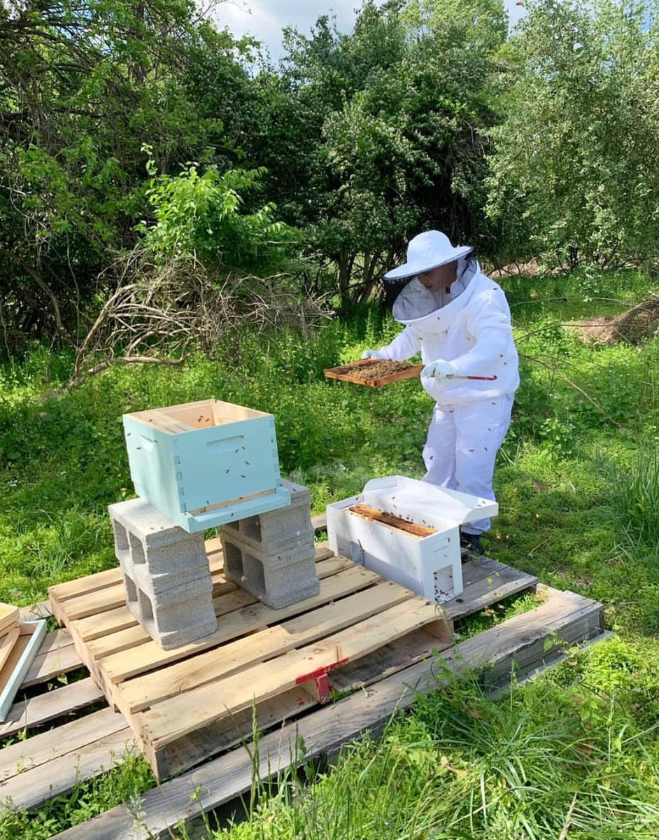 Pollinator Week 2020: The Importance of Coming Together to Support Our ...